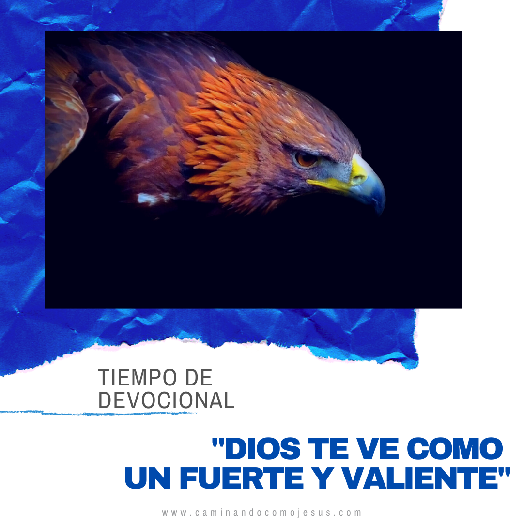 DIOS TE VE COMO UN FUERTE Y VALIENTE – Caminando como Jesús